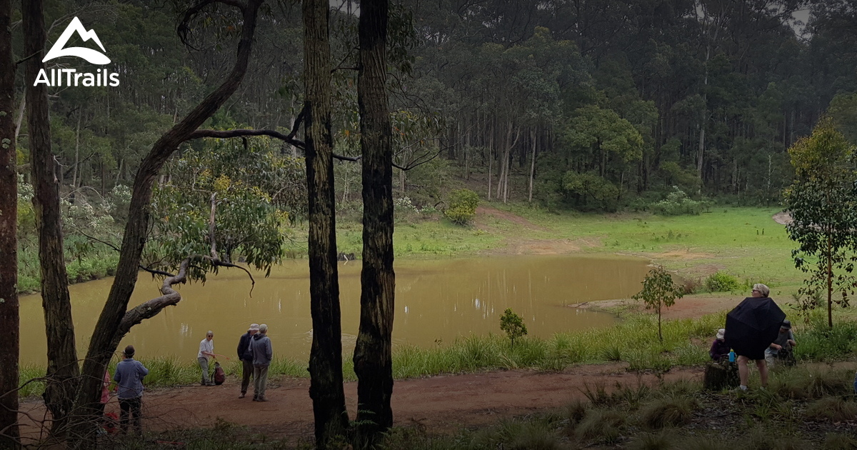 Best hikes and trails in Rocklyn | AllTrails