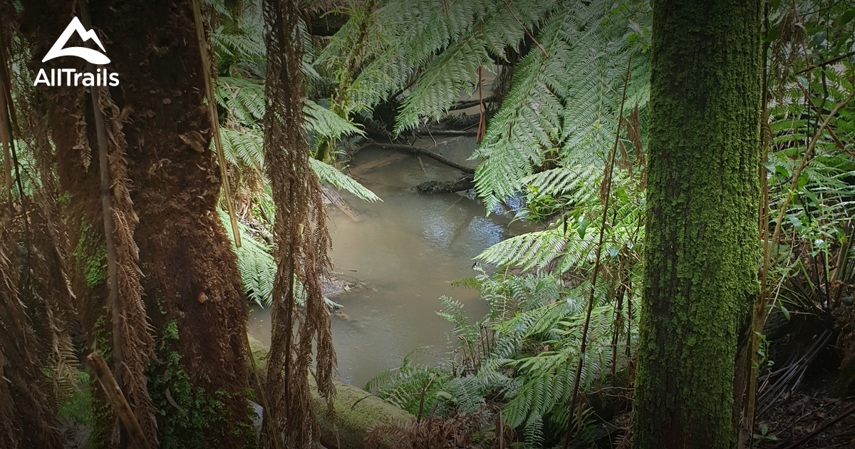 Best waterfall trails in Seaview | AllTrails