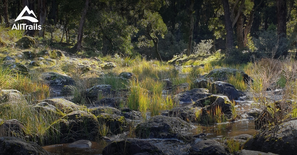Best hikes and trails in Spargo Creek | AllTrails