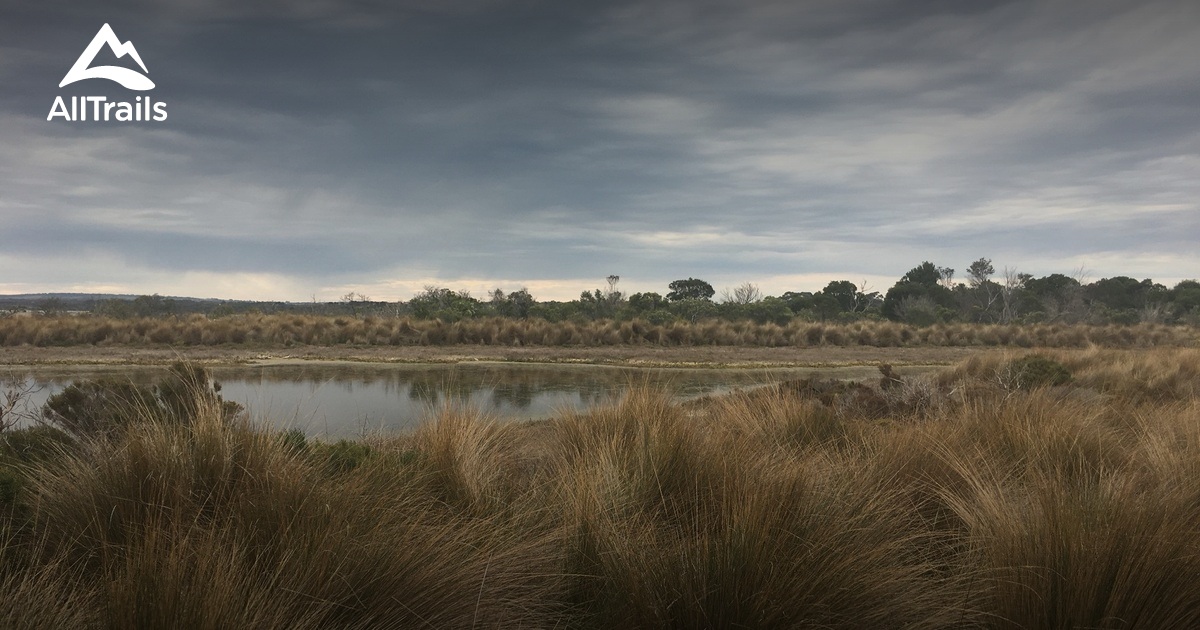 Best hikes and trails in St Leonards | AllTrails