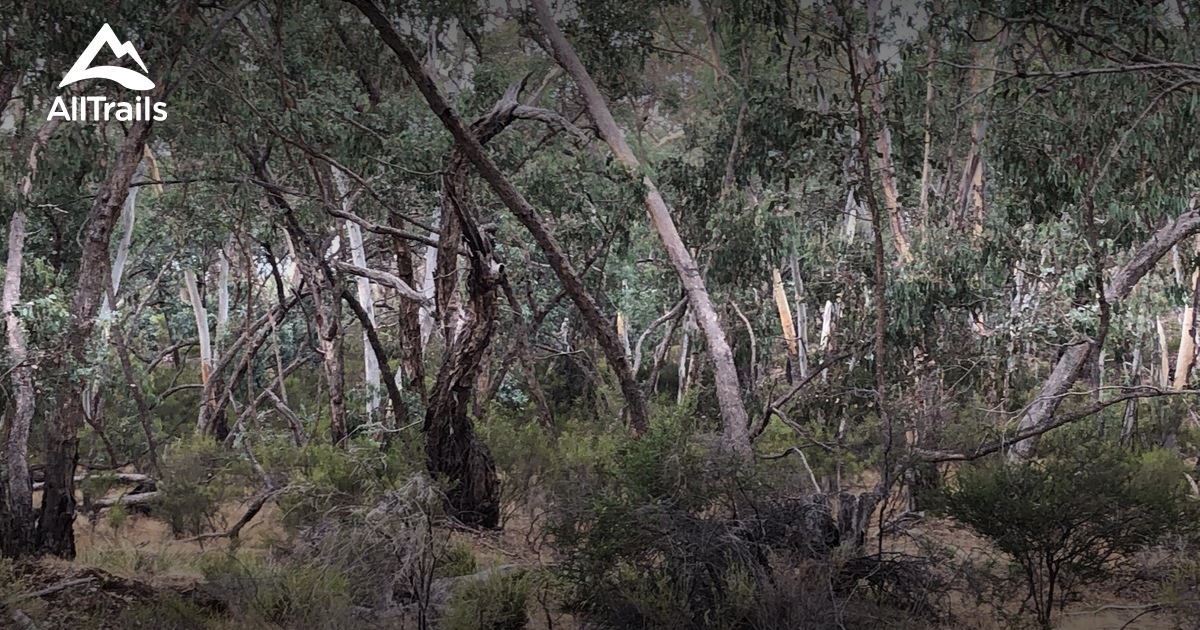 Best hikes and trails in Strangways | AllTrails