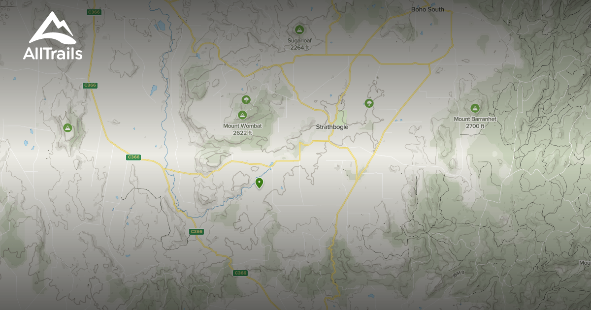 Best forest trails in Strathbogie | AllTrails