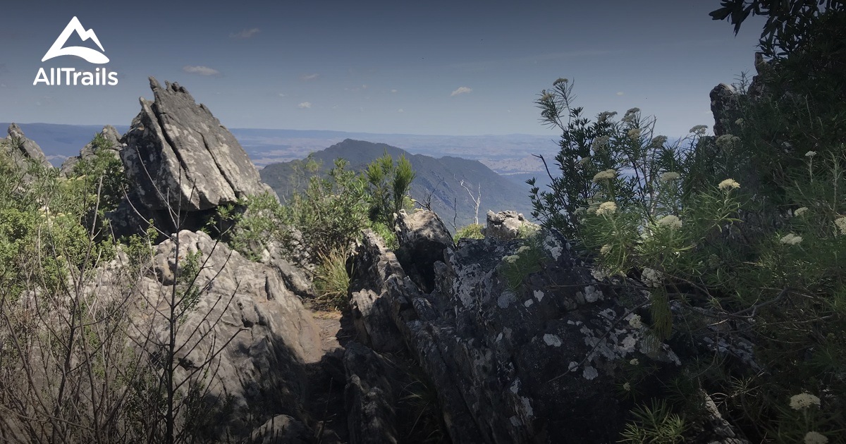 10 Best trails and hikes in Taggerty | AllTrails