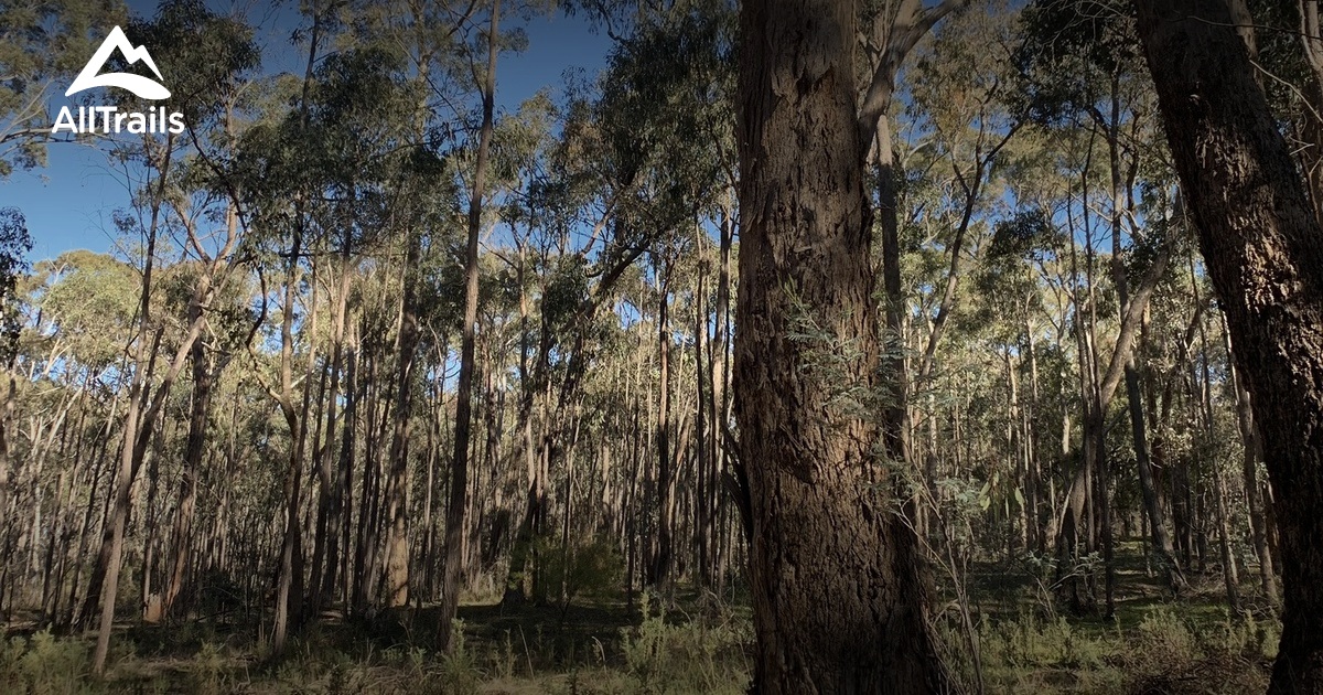 10 Best trails and hikes in Taradale | AllTrails