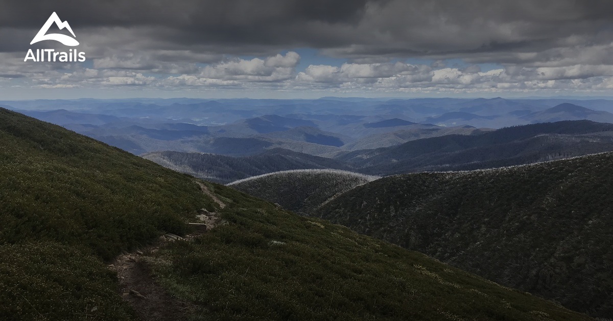 Best Trails near Tawonga, Victoria Australia | AllTrails