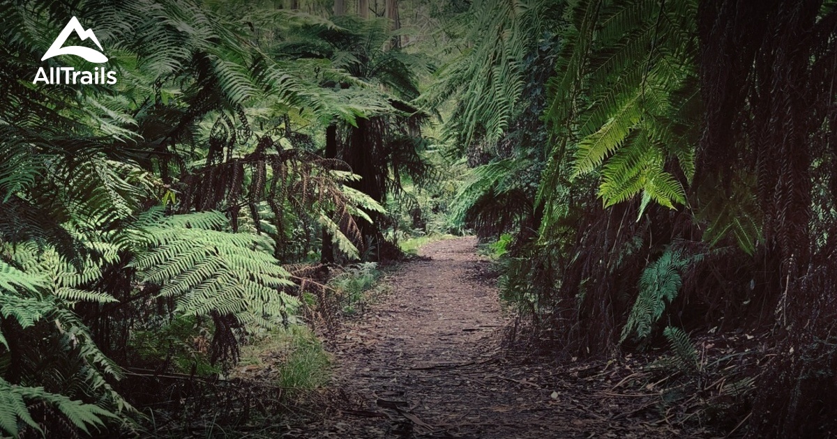 Best hikes and trails in Tecoma | AllTrails