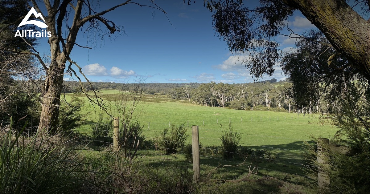 Best hikes and trails in The Gurdies | AllTrails