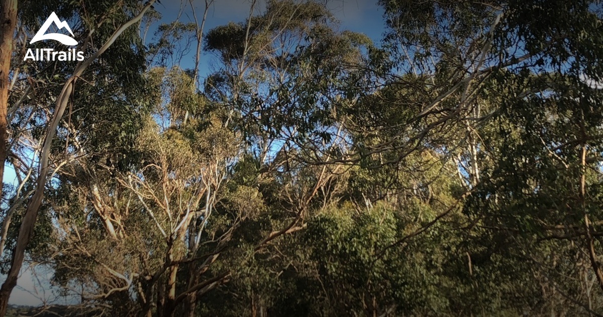 Best hikes and trails in Timboon | AllTrails