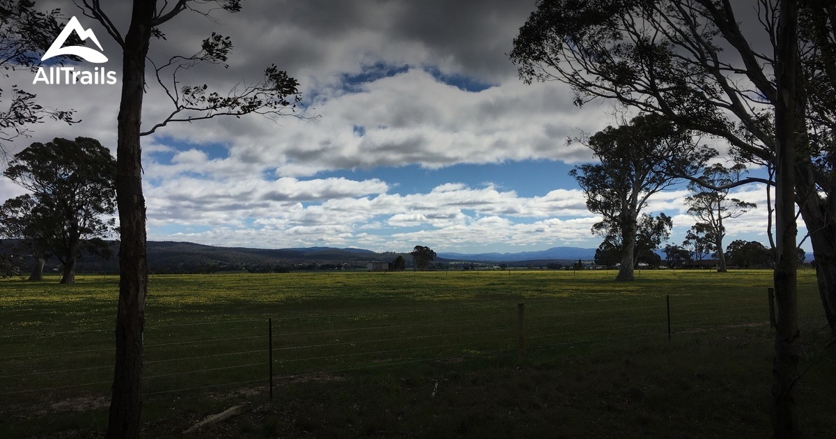 Best hikes and trails in Toongabbie | AllTrails