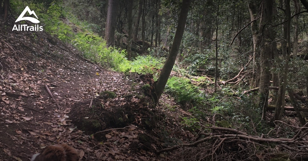 Best hikes and trails in Toorloo Arm | AllTrails