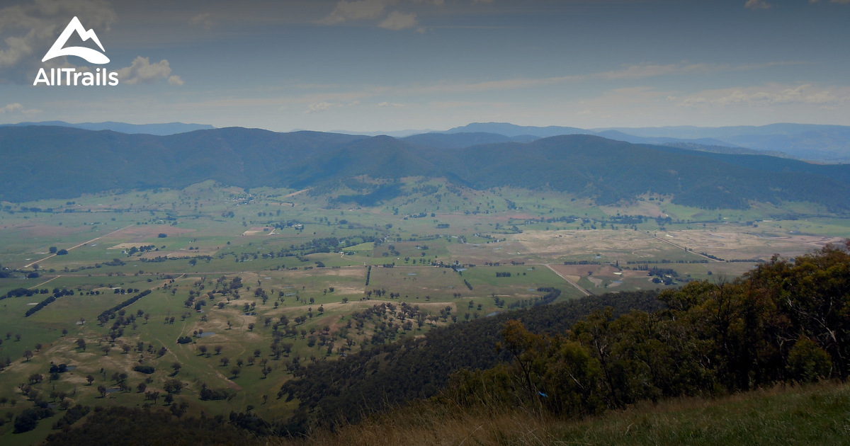 Best hikes and trails in Towong | AllTrails