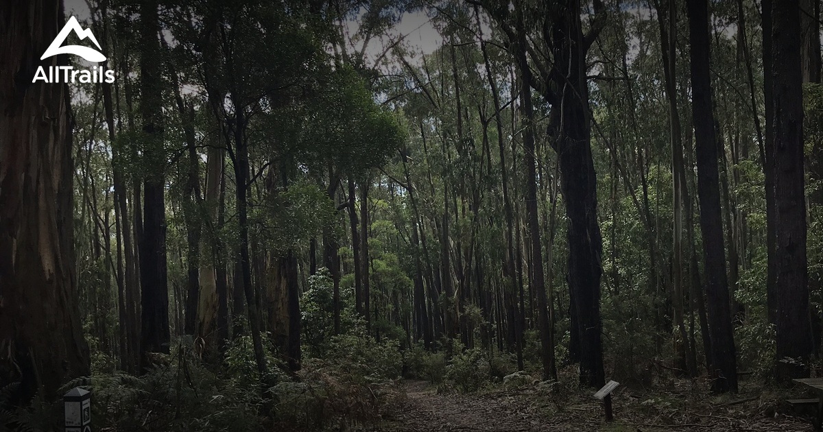 Best walking trails in Trafalgar South | AllTrails