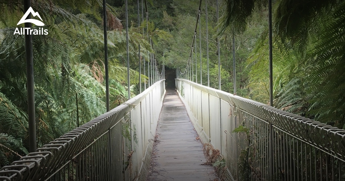 Best moderate trails in Traralgon South | AllTrails