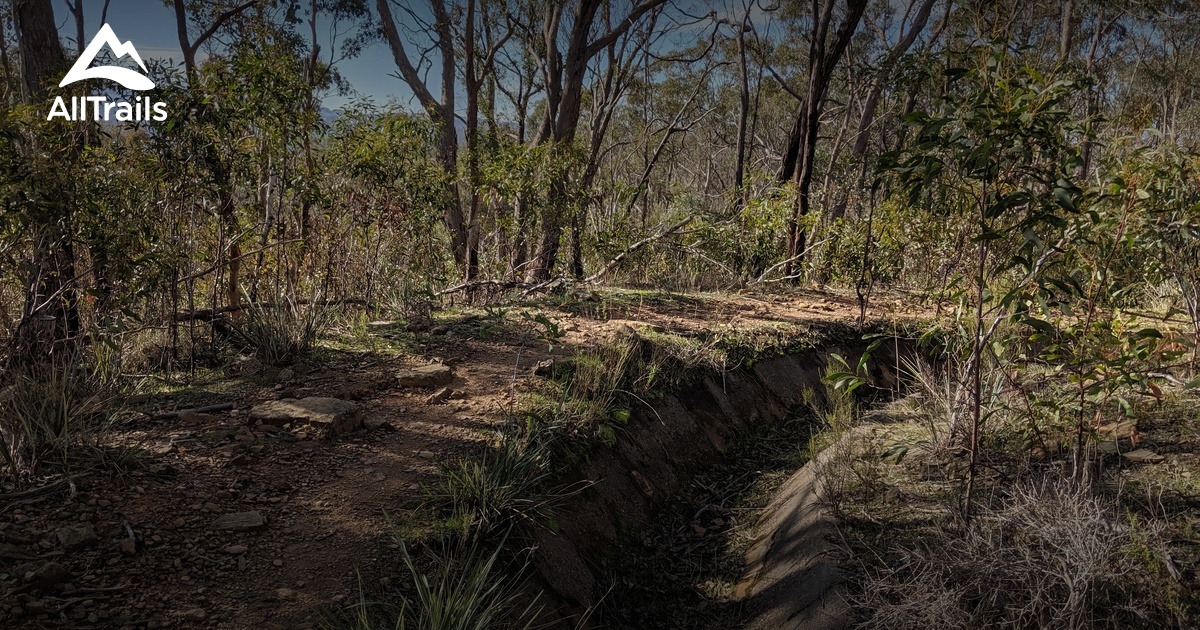 Best hikes and trails in Vaughan | AllTrails