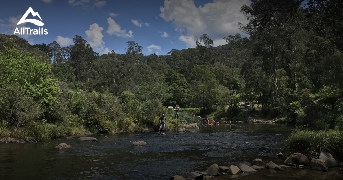 10 Best trails and hikes in Walhalla | AllTrails