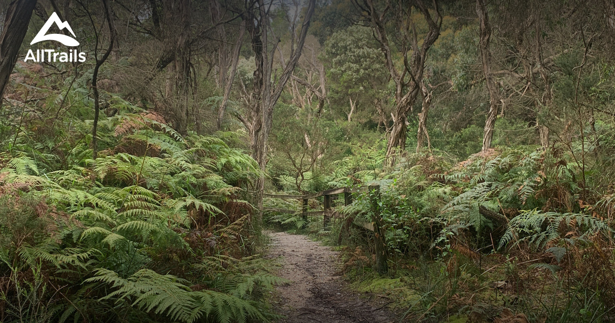 Best hikes and trails in Walkerville | AllTrails