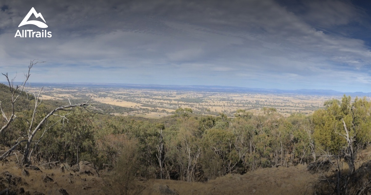 Best hikes and trails in Wangaratta South | AllTrails