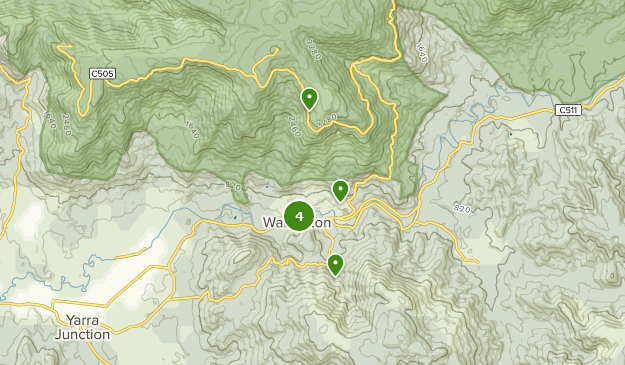 Best Trails near Warburton, Victoria Australia | AllTrails