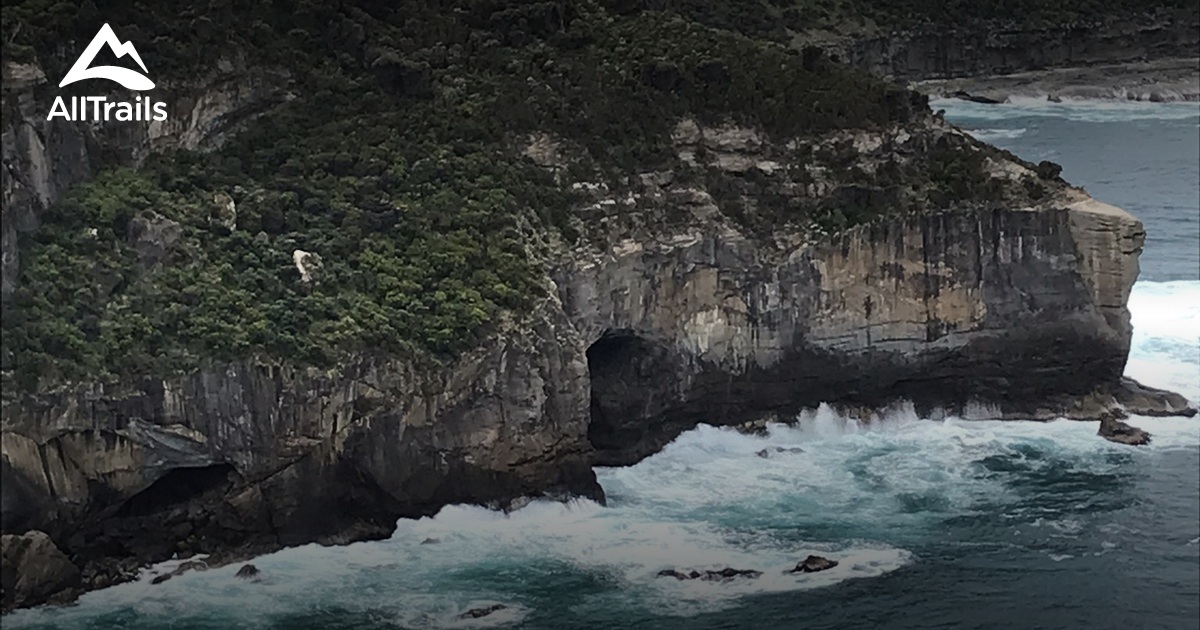 Best hikes and trails in Wattle Hill | AllTrails