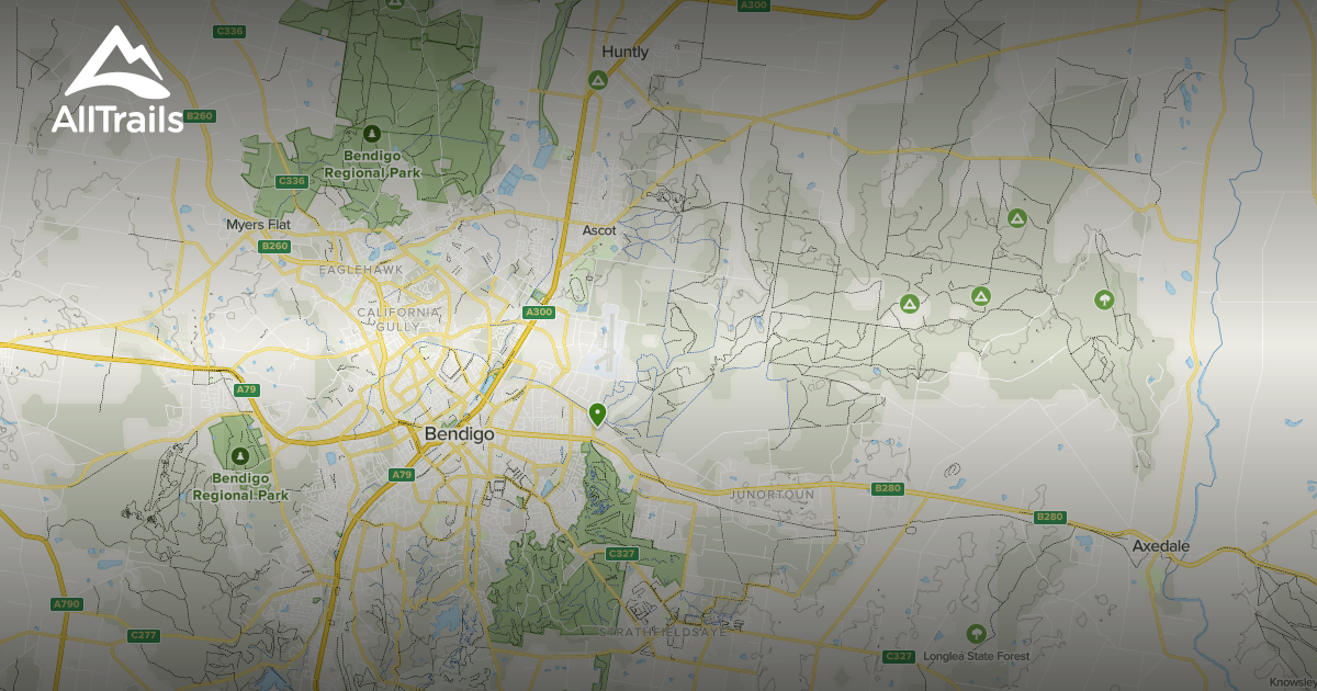 Best hikes and trails in Wellsford | AllTrails