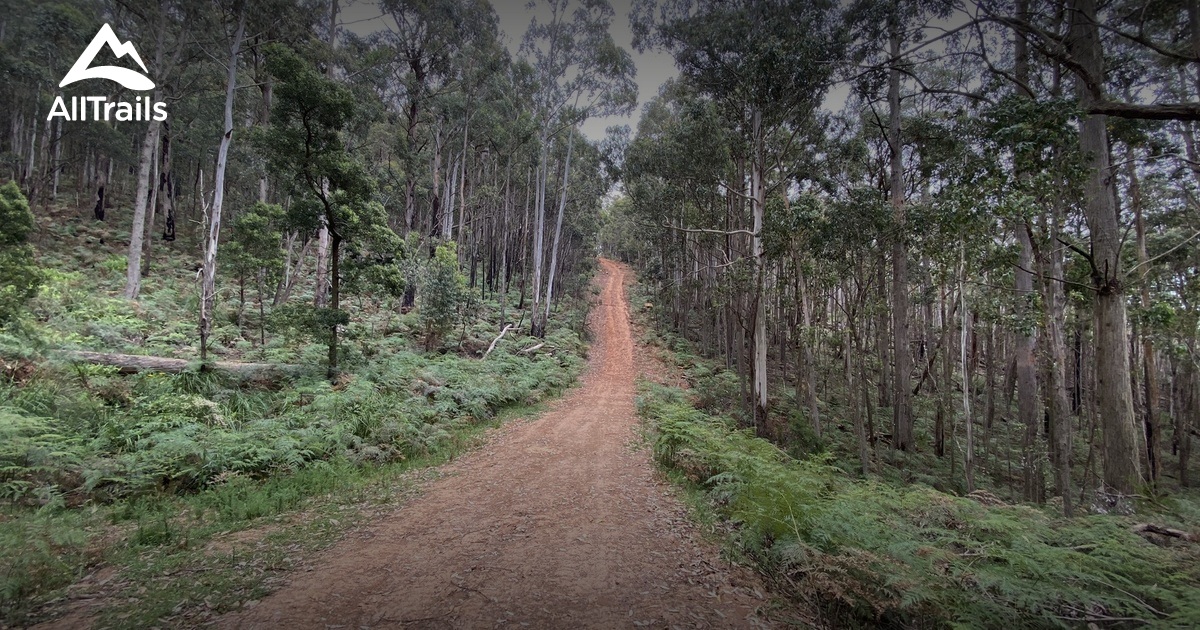 Best hikes and trails in Woodend | AllTrails