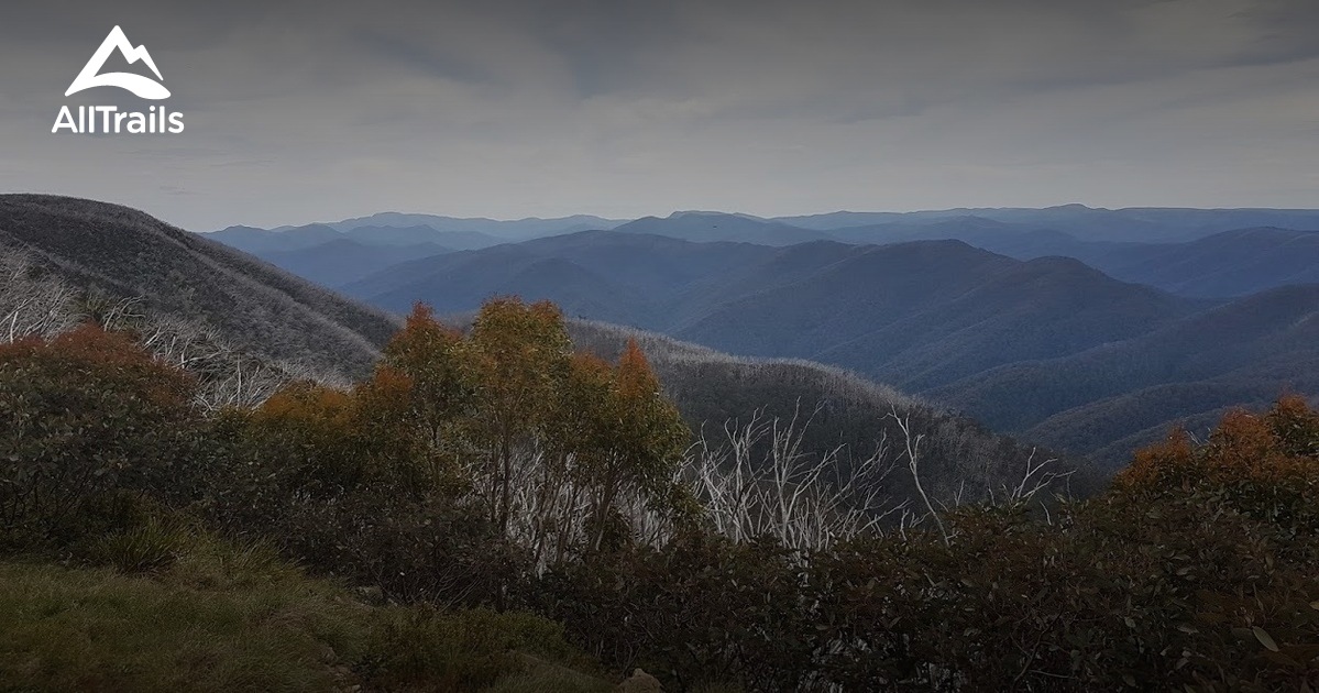 Best hikes and trails in Woods Point | AllTrails