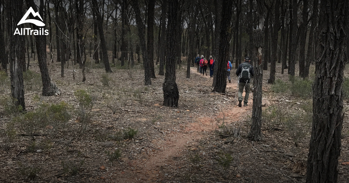 Best easy trails in Woodvale | AllTrails