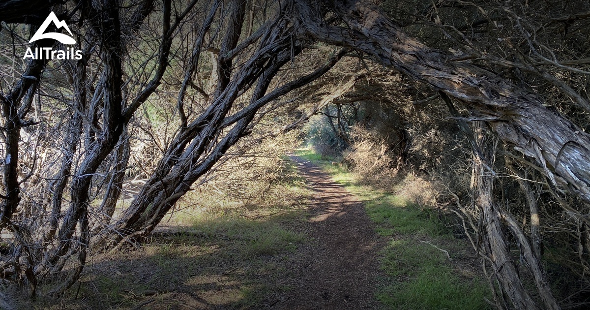 Best beach trails in Yanakie | AllTrails