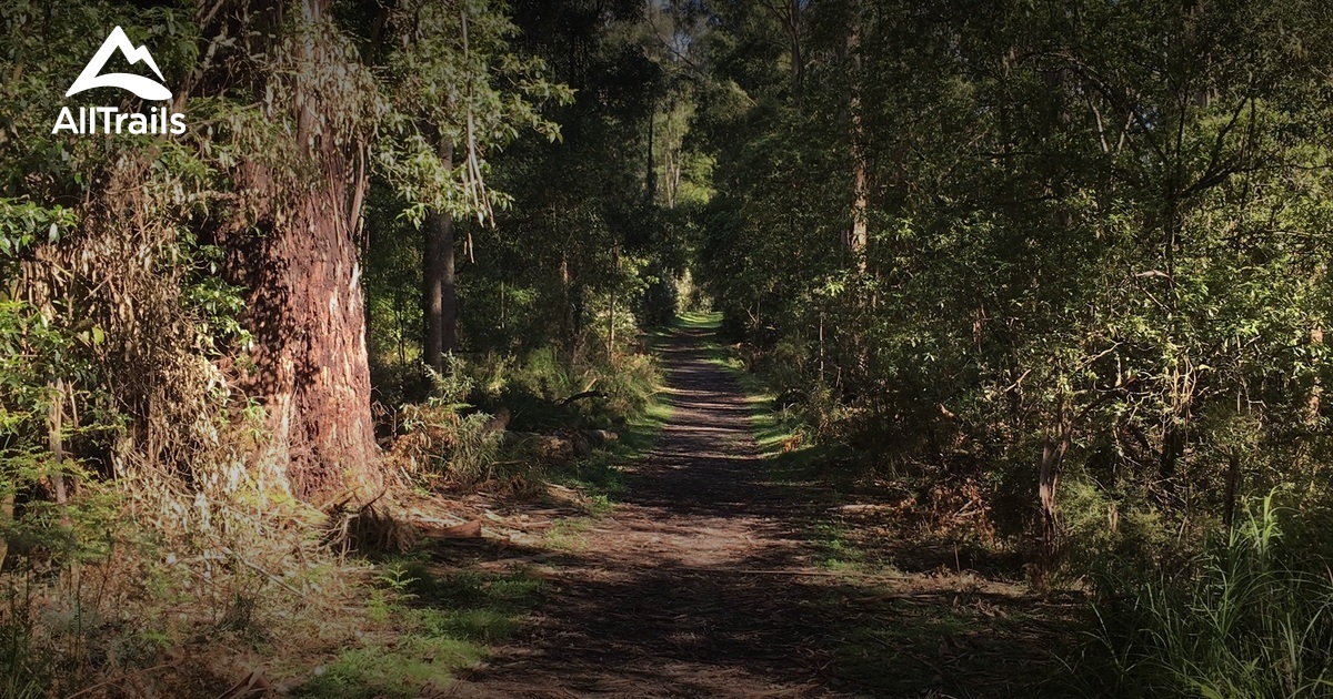 Best Trails, Walks, and Paths in Yinnar South | AllTrails