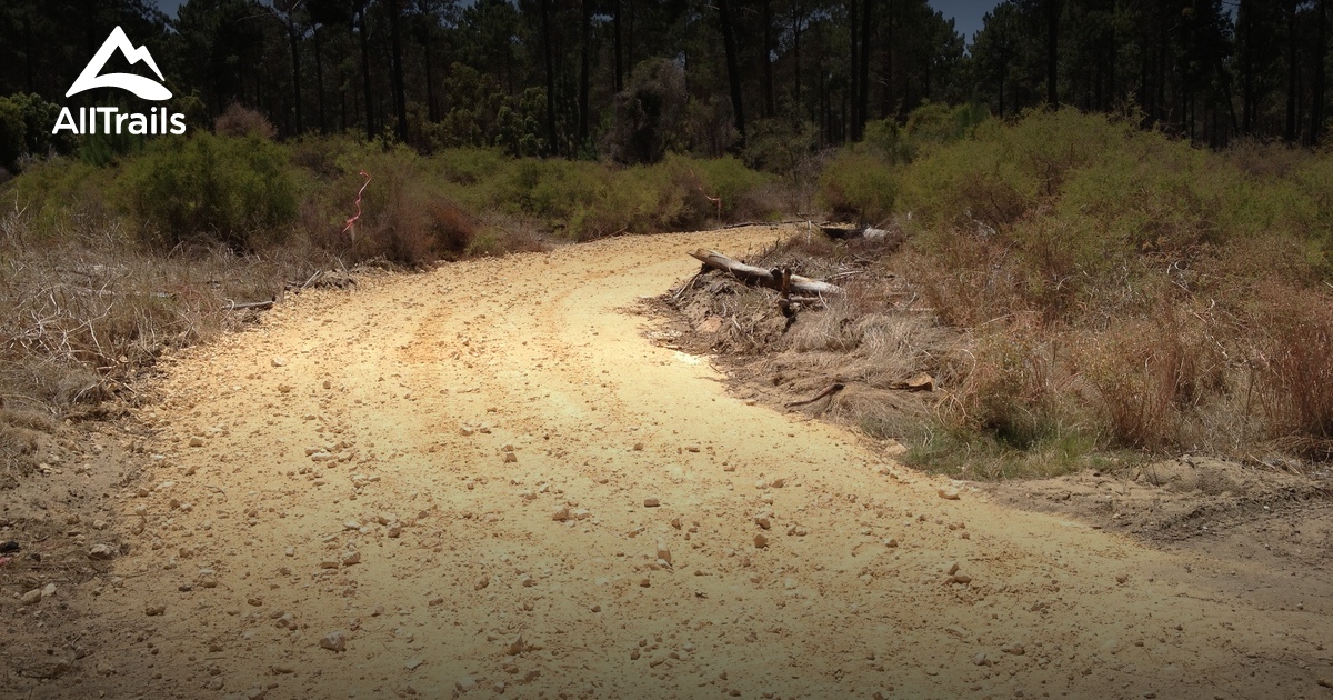 Best hikes and trails in Banksia Grove | AllTrails