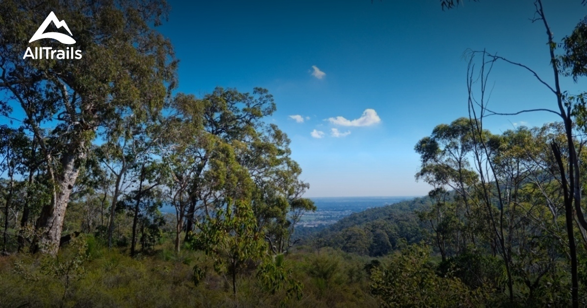 Best forest trails in Bedfordale | AllTrails