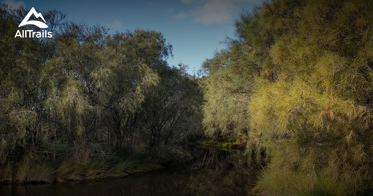 Best hikes and trails in Belmont | AllTrails