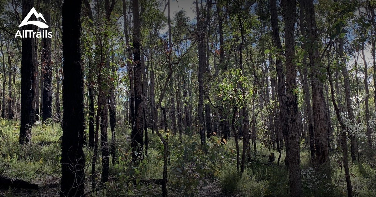 10 Best trails and hikes in Collie | AllTrails