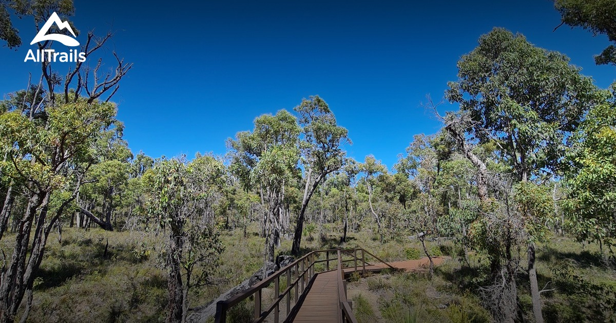 Best hikes and trails in Crooked Brook | AllTrails