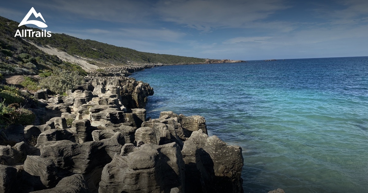 Best forest trails in Deepdene | AllTrails