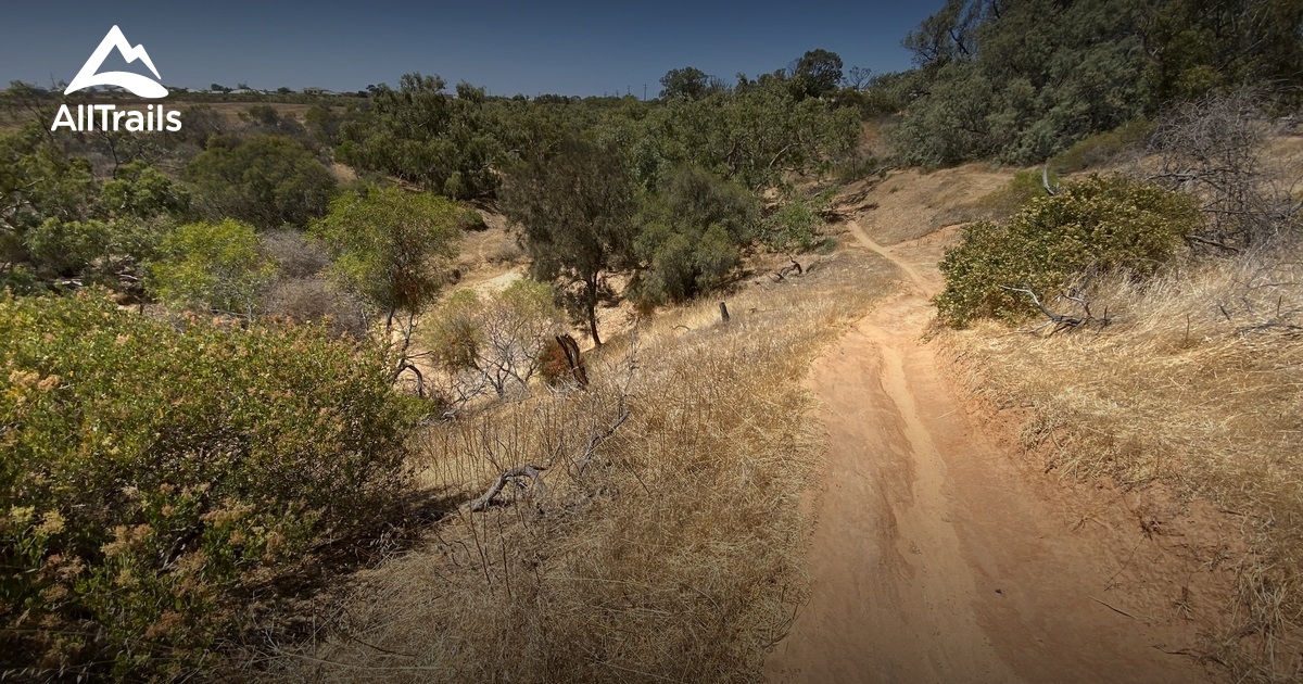 Best hikes and trails in Geraldton | AllTrails