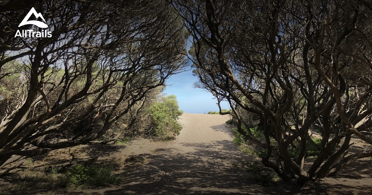 Best walking trails in Gracetown | AllTrails