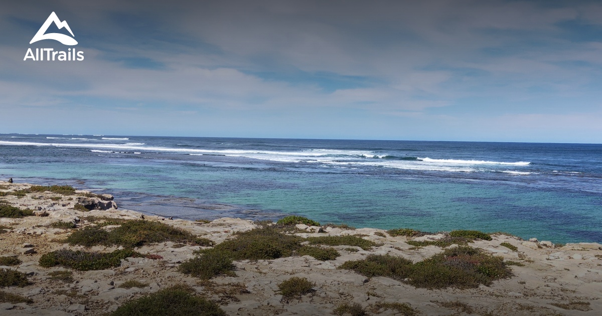 Best hikes and trails in Green Head | AllTrails