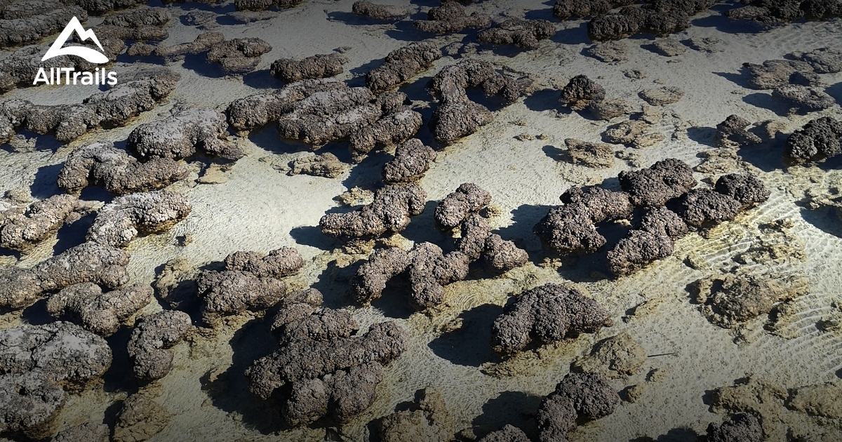 Best hikes and trails in Hamelin Pool | AllTrails