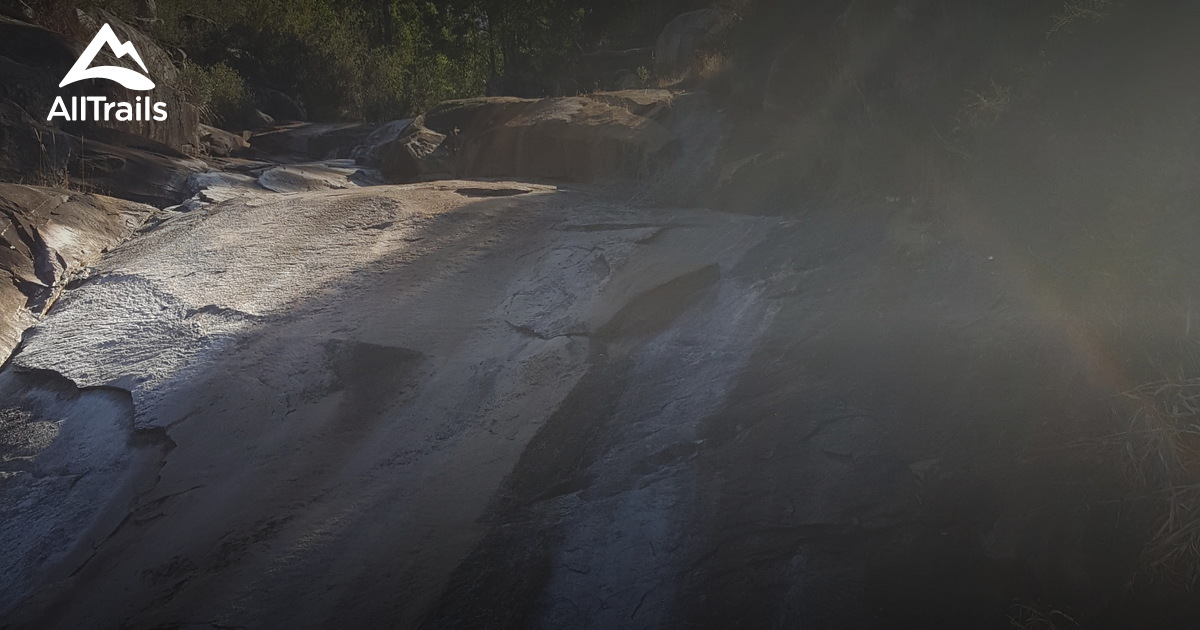 Best forest trails in Holyoake | AllTrails