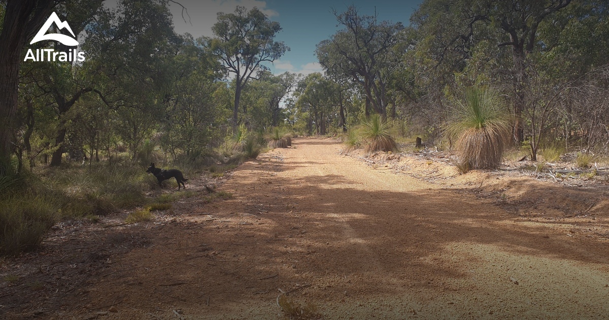 Best hikes and trails in Julimar | AllTrails