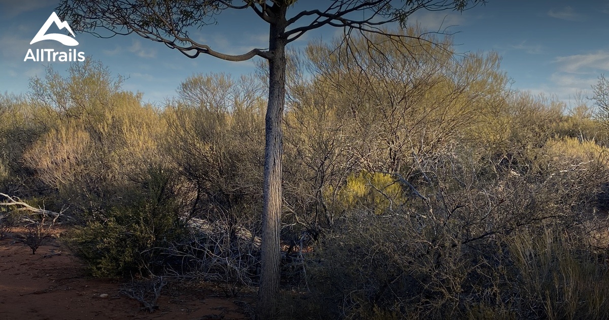 Best hikes and trails in Menzies | AllTrails