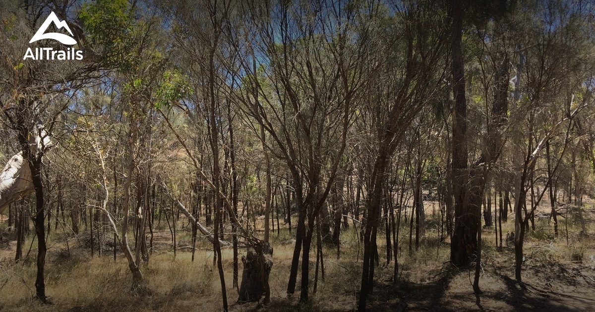 Best hikes and trails in Narrogin | AllTrails