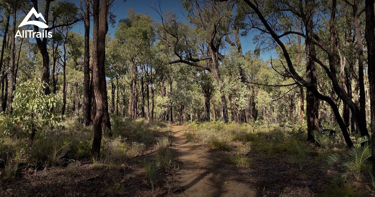 Best hikes and trails in North Bannister | AllTrails