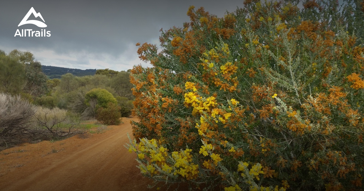 Best hikes and trails in Northam | AllTrails