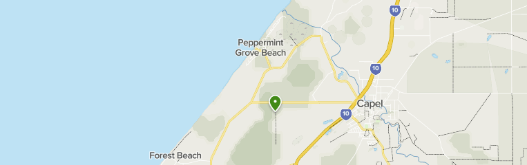 Best Hikes and Trails in Peppermint Grove Beach | AllTrails