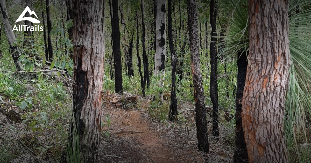 Best hikes and trails in Pickering Brook | AllTrails