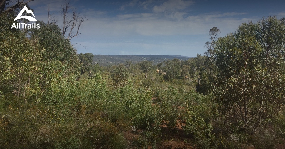 Best hikes and trails in Red Hill | AllTrails