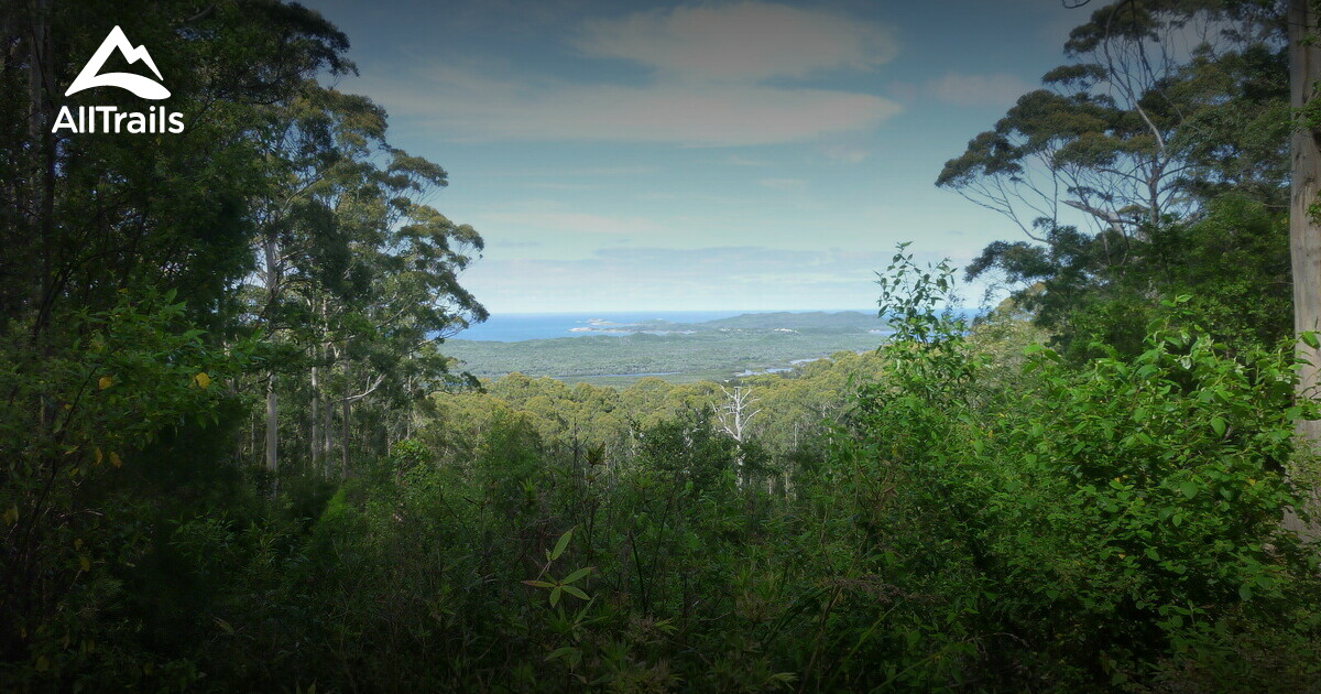 10 Best trails and hikes in Walpole | AllTrails