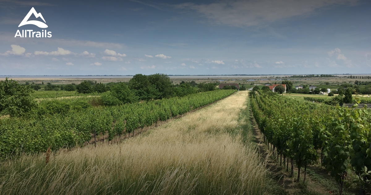 Best hikes and trails in Neusiedl am See | AllTrails